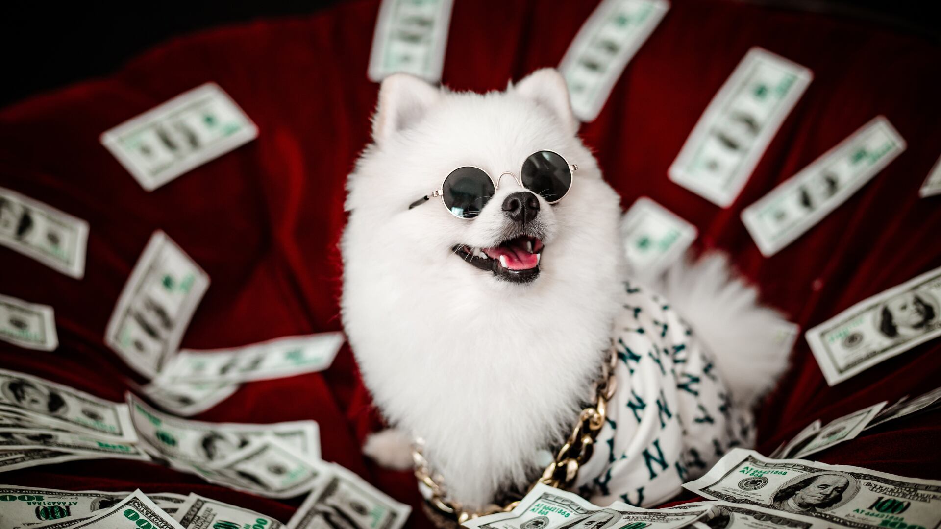 Construye tu historial de crédito desde cero, la guía práctica para ...