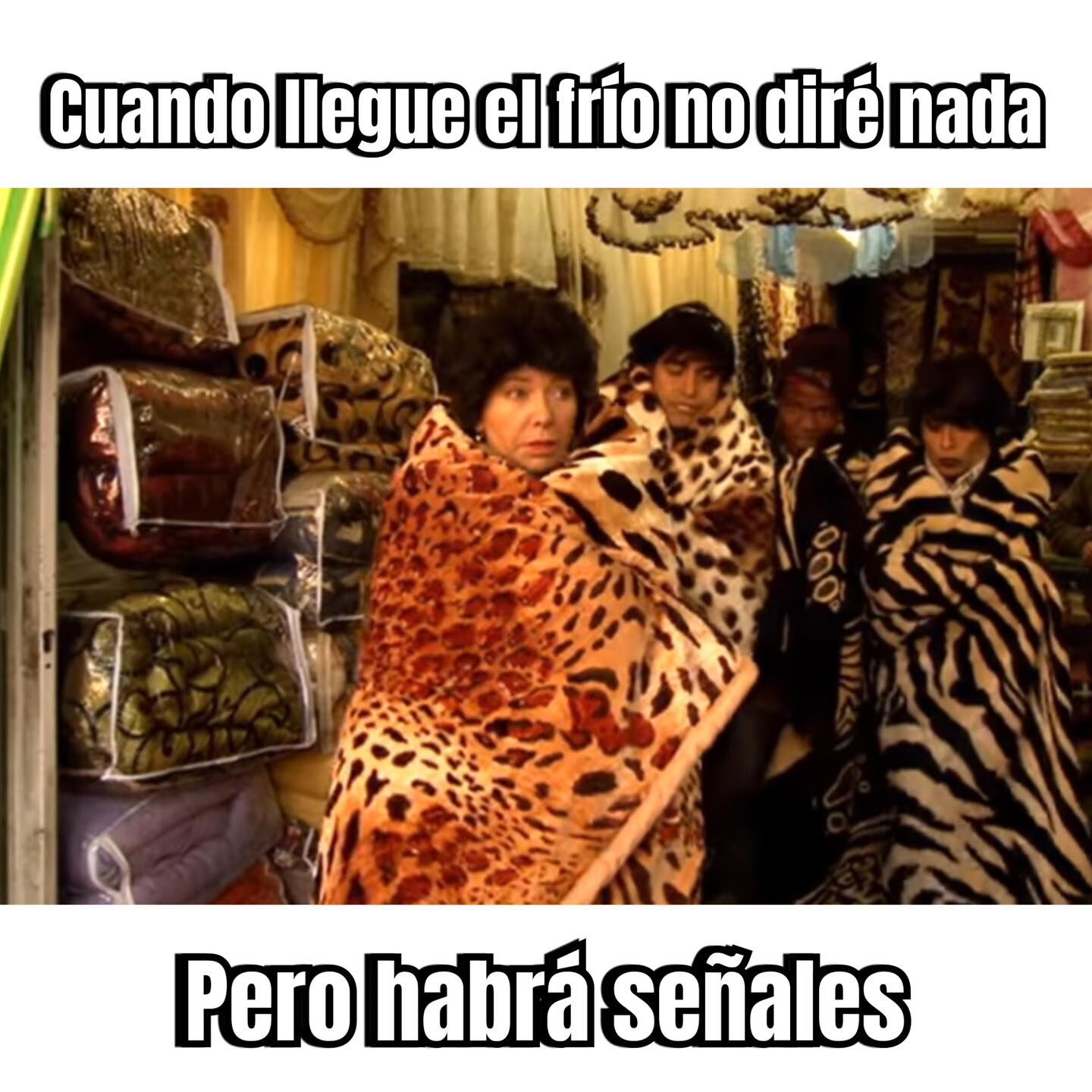 Frentes fríos en México: Cuánto cuesta la legendaria cobija de tigre y ...