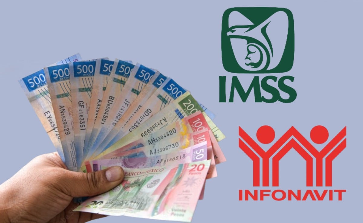 Cuotas obrero patronales. Qué son, cómo se pagan y dónde verificarlas