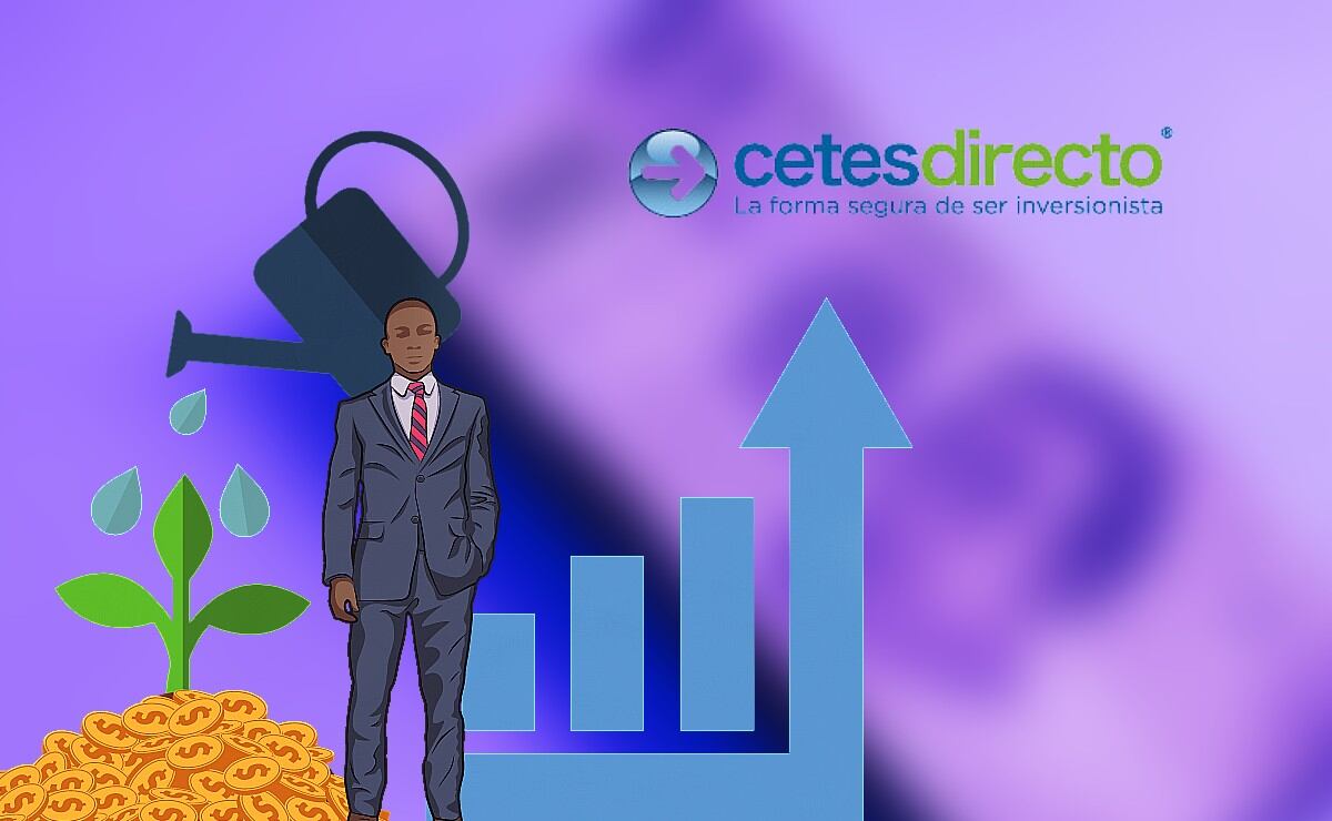 Inversiones en Cetes: Desmintiendo mitos y maximizando rendimientos con ...